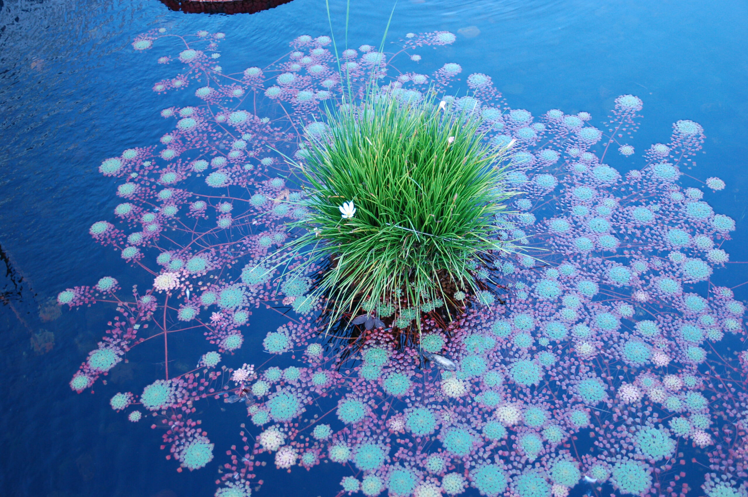 Events | Portico Healthnet