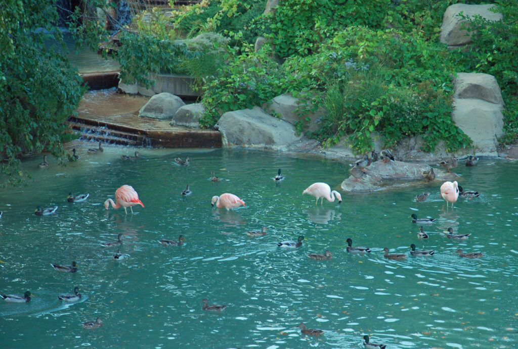 Events | Portico Healthnet